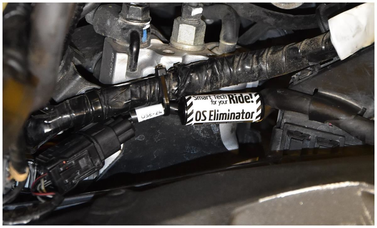 Healtech Os Eliminator for Triumph Tiger 660 Sport 25-26 plug and play ...